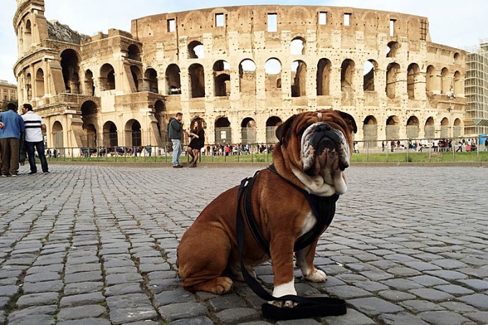 F1 drivers return for Zoom Auction Charity | F1i.com