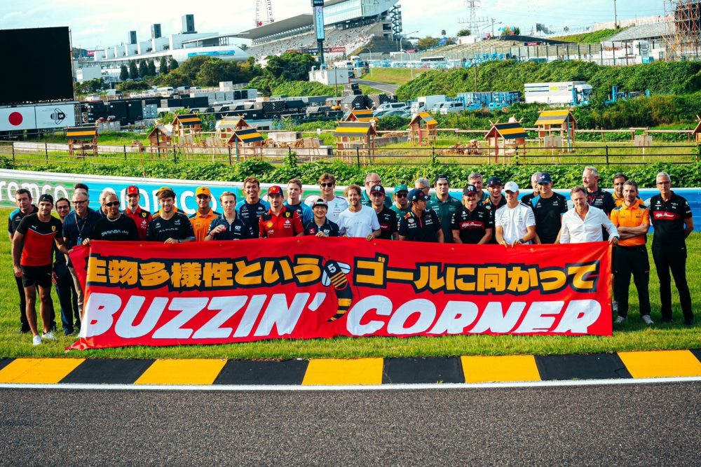 F1 unites for Vettel's biodiversity bash at Buzzin' Corner