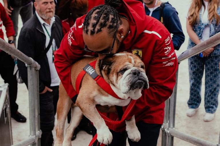 Hamilton mourns the loss of beloved bulldog Roscoe